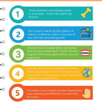 5-Fun-Facts-About-Your-Teeth infographic_cropped - Children's Dental Health